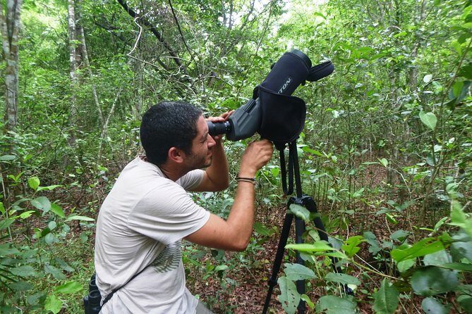 Bird Watching in Sian Ka´an Muyil - The Practicalities