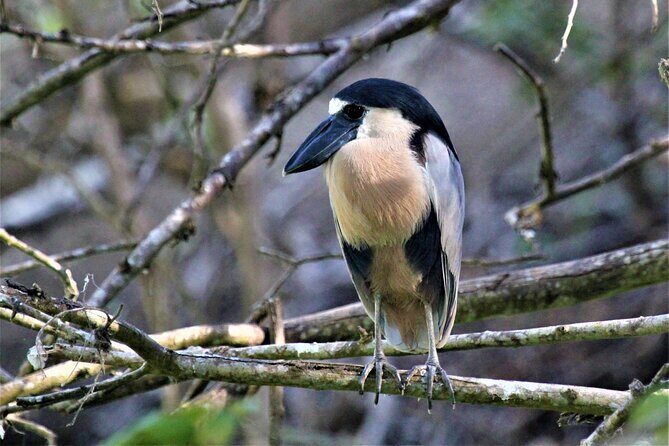 Bird Watching Tour Huatulco HT - Exploring the Itinerary in Detail