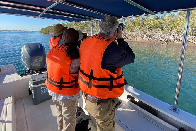 Birding By Sea and Land 4hr. La Paz Mexico - Authentic Experiences and Real Insights