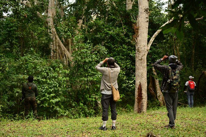 Birdwatching in Coba from Tulum - Shared Group Tour - Transportation, Timing, and Group Size