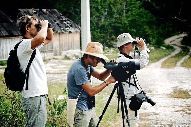 Birdwatching in Sian Ka´an Muyil from Tulum - Shared Group Tour - Practical Details & Value