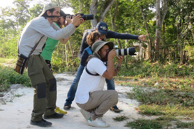 Birdwatching Sian Ka'an Biosphere Reserve - A Detailed Breakdown of the Experience