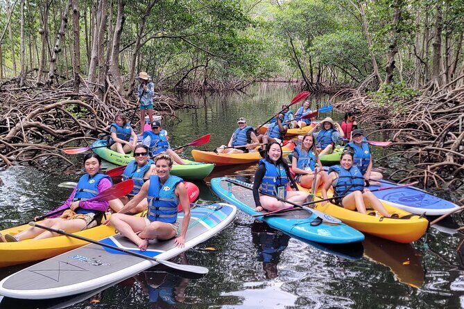 Biscayne Bay Island and Nature Exploration - The Value of Biscayne Bay Island and Nature Exploration
