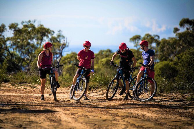 Blue Labyrinth PRIVATE Tour: Sydney Blue Mountains by E-Bike - Why This Tour Stands Out