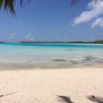 Blue Lagoon - PRIVATE ISLAND Pink sand beach and wildlife reserve - The Experience: Pros & Cons