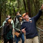 Blue Mountain Small Group Scenic World, Wildlife, Waterfall - Who Will Love This Tour?