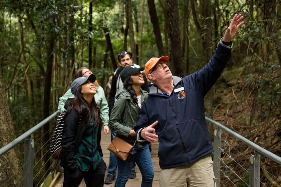 Blue Mountain Small Group Scenic World, Wildlife, Waterfall - Who Will Love This Tour?