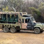 Blue Mountains 3 Hour Army Truck Adventures - The Itinerary in Detail