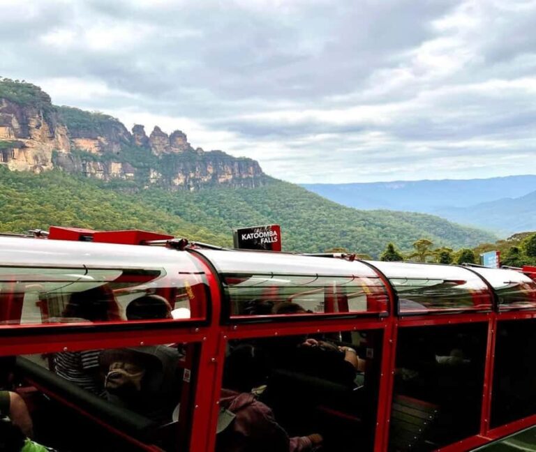 Blue Mountains Adventure: Wild Boar Rock & Cable Car - Who Will Love This Tour?