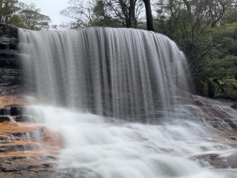 Blue Mountains day tour with Cruise, Scenic world pass & Zoo - The Practical Side: Transportation, Timing & Group Size