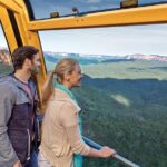 Blue Mountains Hop On Hop Off Tour - The Practicalities: What You Need to Know