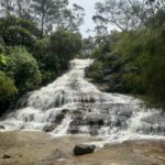 Blue Mountains: Katoomba Cascades & Falls Guided Hike - An In-Depth Look at the Tour Experience