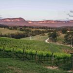 Blue Mountains: Megalong Valley Wine Tasting & Lunch - The Second Stop: Dryridge Creek Estate