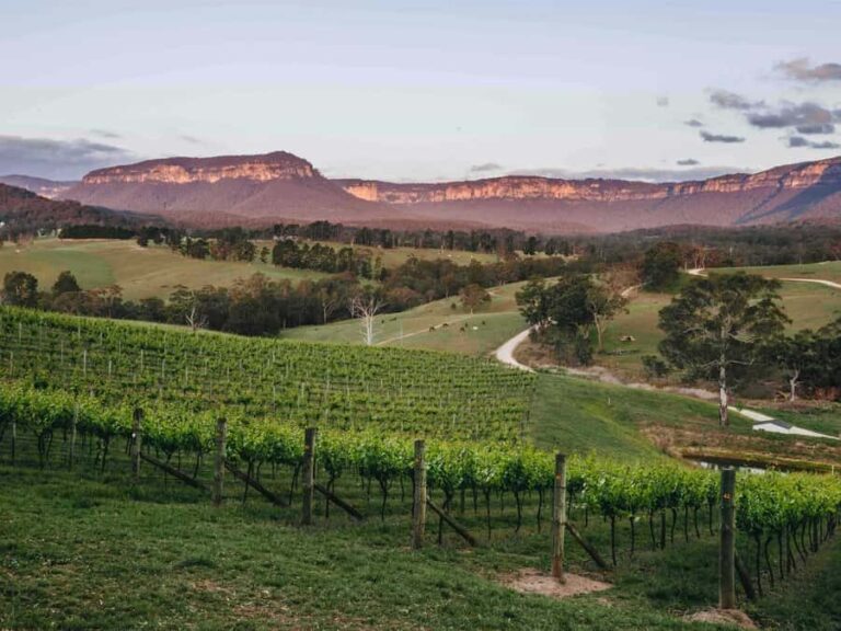 Blue Mountains: Megalong Valley Wine Tasting & Lunch - The Second Stop: Dryridge Creek Estate