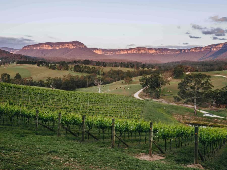 Blue Mountains: Megalong Valley Wine Tasting & Lunch - The Second Stop: Dryridge Creek Estate