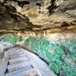 Blue Mountains: Overcliff-Undercliff Guided Hike - Who Will Love This Tour?