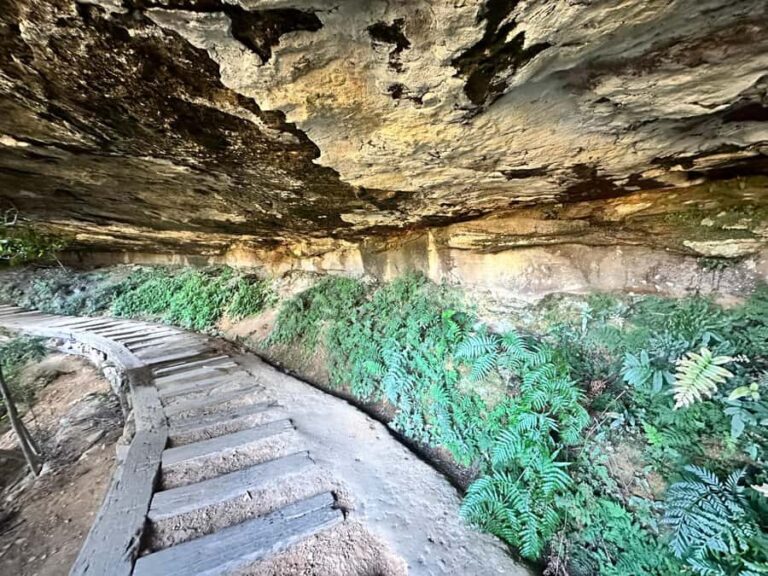 Blue Mountains: Overcliff-Undercliff Guided Hike - Who Will Love This Tour?