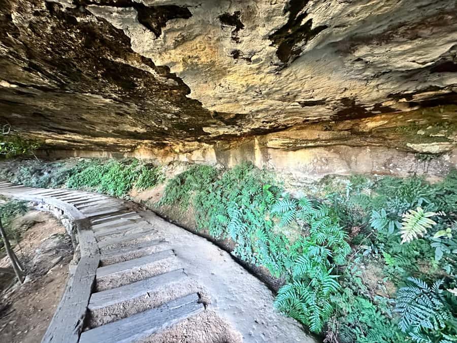 Blue Mountains: Overcliff-Undercliff Guided Hike - Who Will Love This Tour?