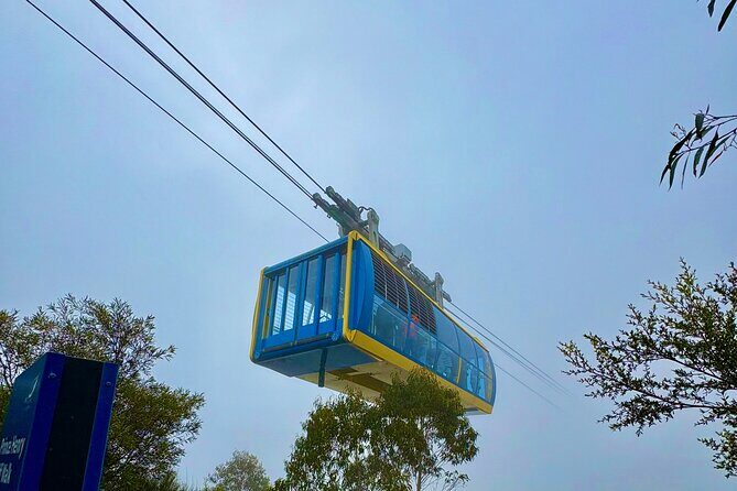 Blue Mountains Private Sightseeing Day Tours from Sydney - The Value of This Tour