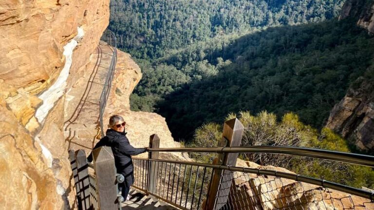 Blue Mountains private tour with Featherdale Wildlife Park - Price and Value