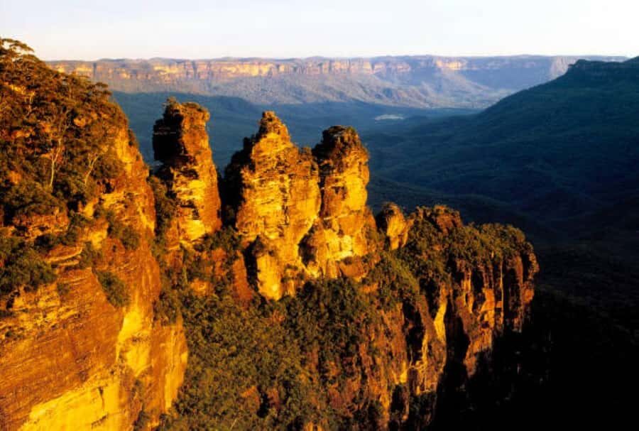Blue Mountains, Zig Zag Railway and Botanical Gardens Tour - Who Would Love This Tour?