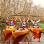 Blue Springs Kayak & Swim Wildlife Adventure - What You Can Expect from the Experience