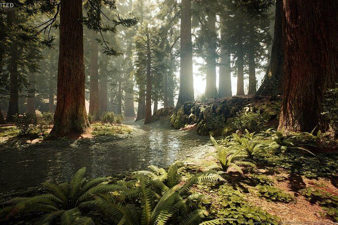 Blue Springs, Redwood Forest, Huka Falls Private tour - Practical aspects of the tour