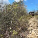 Boar's Head Resort Off Road Jeep Tour - Final Thoughts on the Value