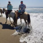 Boat Ride-Gentle Beach Beach Horseback Ride+Lunch-Crocs-Turtles - The Value of This Tour