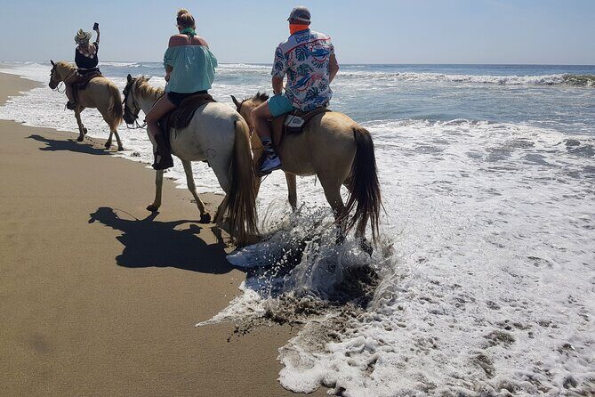 Boat Ride-Gentle Beach Beach Horseback Ride+Lunch-Crocs-Turtles - The Value of This Tour