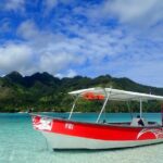 Boat tour 1/2 day Excursion in the lagoon of Moorea - Who Will Love This Tour?