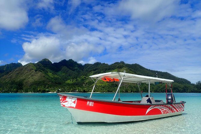 Boat tour 1/2 day Excursion in the lagoon of Moorea - Who Will Love This Tour?