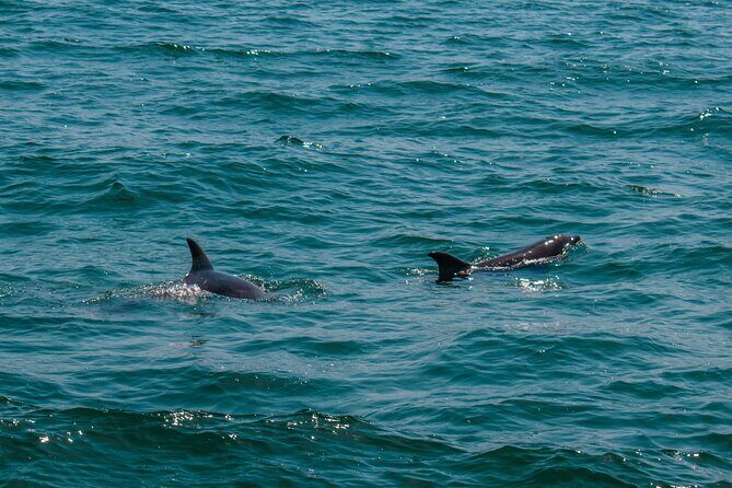 Boat Tour Snorkeling Tour with Guide, Drinks and Fruit - Exploring the Itinerary in Detail
