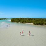 Boca Grande Kayaking Tour - The Value of the Boca Grande Kayaking Tour