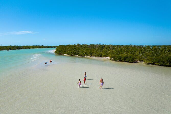 Boca Grande Kayaking Tour - The Value of the Boca Grande Kayaking Tour