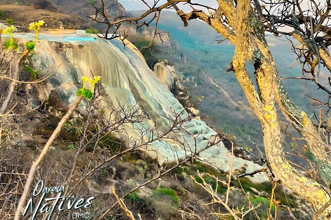 Boil the Water and Mitla Mezcal Tour - The Value of This Tour