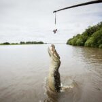 Bombing of Darwin WWII Heritage Tours - FAQs