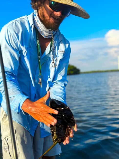 Bonita Springs: Kayak Tour with Manatees, Dolphins Sightings - Why This Tour Is Worth Your Time