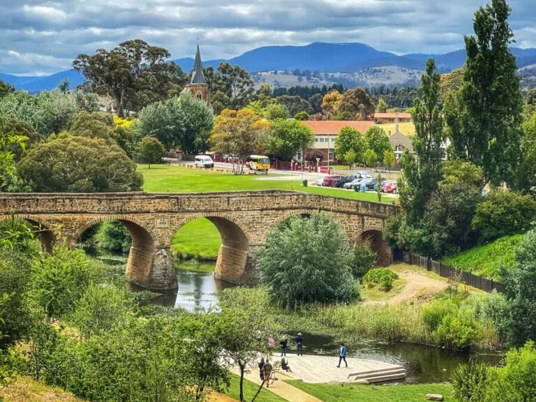 Bonorong Wildlife Sanctuary Half-Day Tour from Hobart - What Makes This Tour Stand Out
