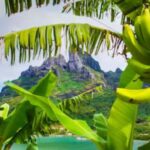 Bora Bora: 4WD History & Culture Tour - The Itinerary in Detail