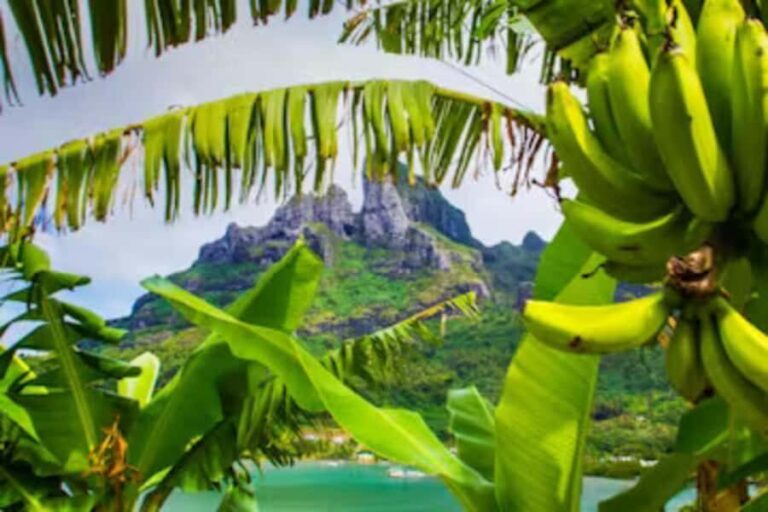 Bora Bora: 4WD History & Culture Tour - The Itinerary in Detail