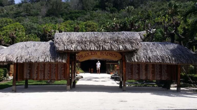 Bora Bora Adventure Day: 4X4 and Jet Ski with Lunch - Practicalities and Considerations