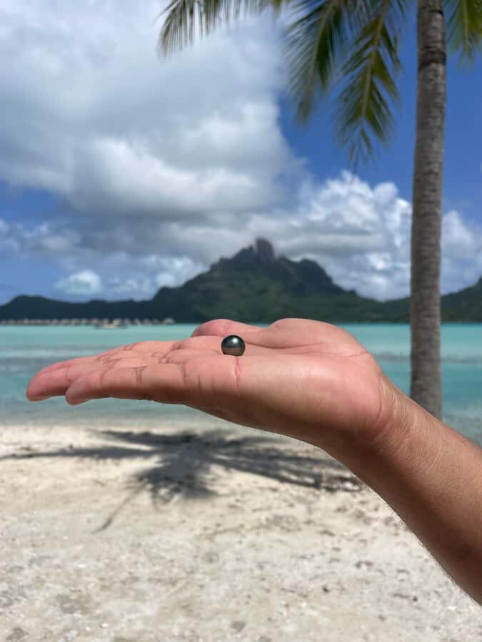 Bora Bora: Discovering the Tahitian black pearl ! - The Value of the Tour