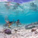 Bora Bora: Eco Shark and Snorkeling Safari - The Experience: What You Can Expect