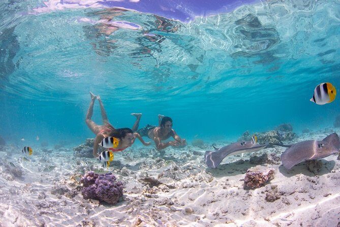 Bora Bora Eco Snorkel Cruise Including Snorkeling with Sharks and Stingrays - The Sum Up