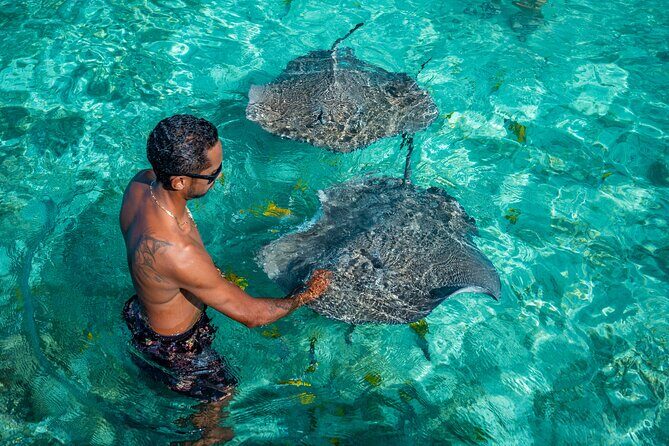 Bora Bora Full Day Snorkeling with Lunch - Practical Details: What You Need to Know