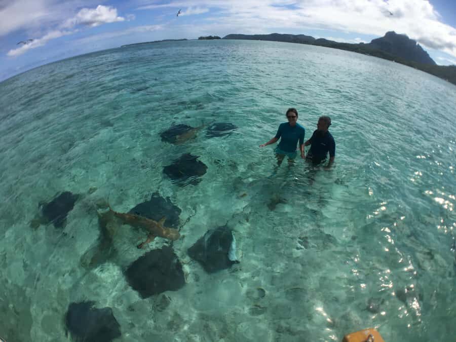 Bora Bora: Half-Day Traditional Canoe Ride in the Lagoon - Authenticity and Cultural Appeal