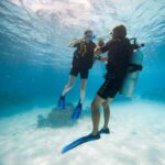 Bora Bora: Introductory Dive - The Itinerary: What Makes Each Part Special