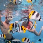 Bora Bora Jet Ski Tour, & Eco Shark / Ray Snorkel Cruise - The Practical Side — What to Expect and What to Bring