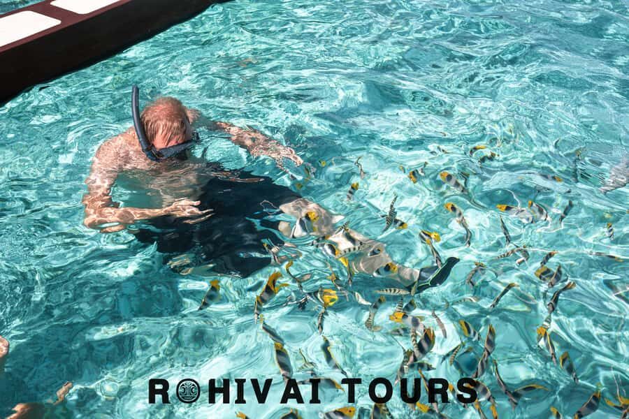 Bora Bora: Private 1/2 day lagoon safari tour - Exploring Bora Bora’s Lagoon: a Detailed Review